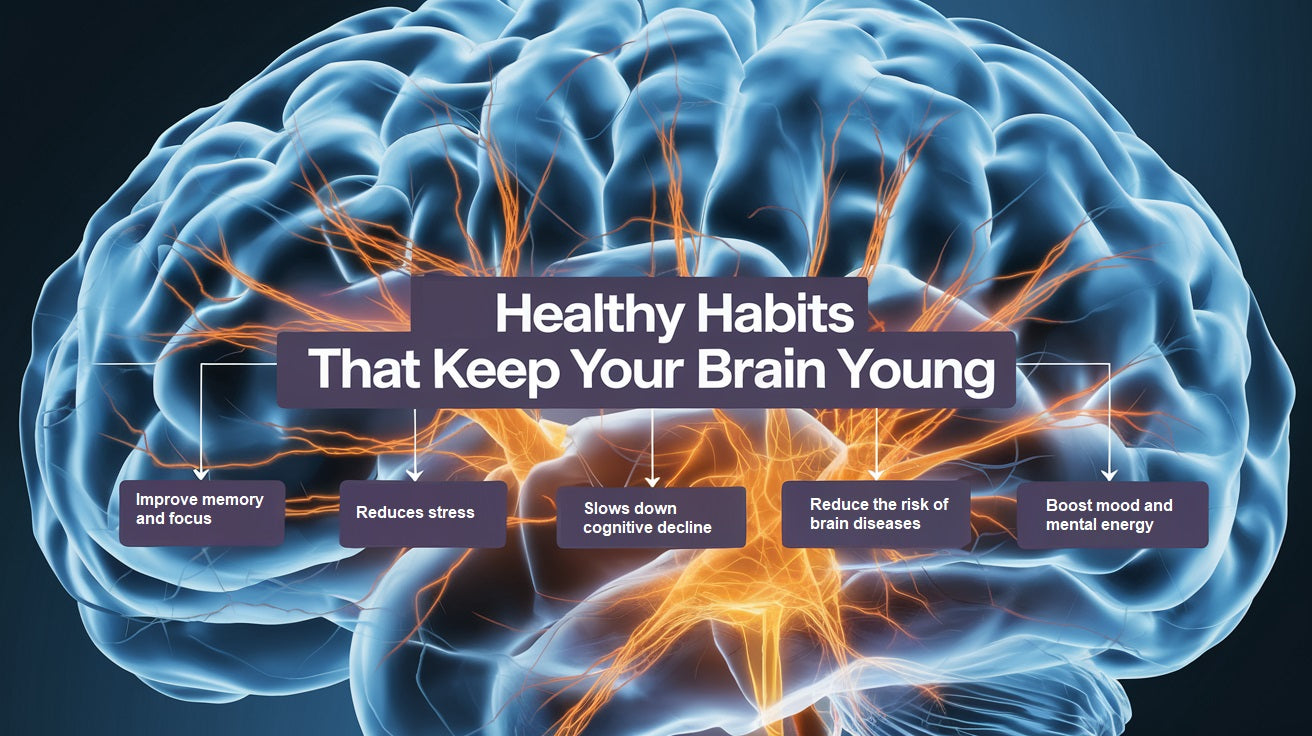 10 Healthy Habits to Keep Your Brain Young | Brain Fitness and ...