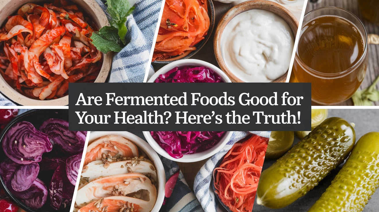 Are Fermented Foods Good for Your Health? Here's the Truth! – Mapmygenome