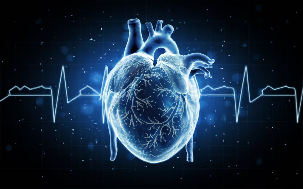 The Role of Genetics in Heart Disease - Can You Predict Your Risk ...