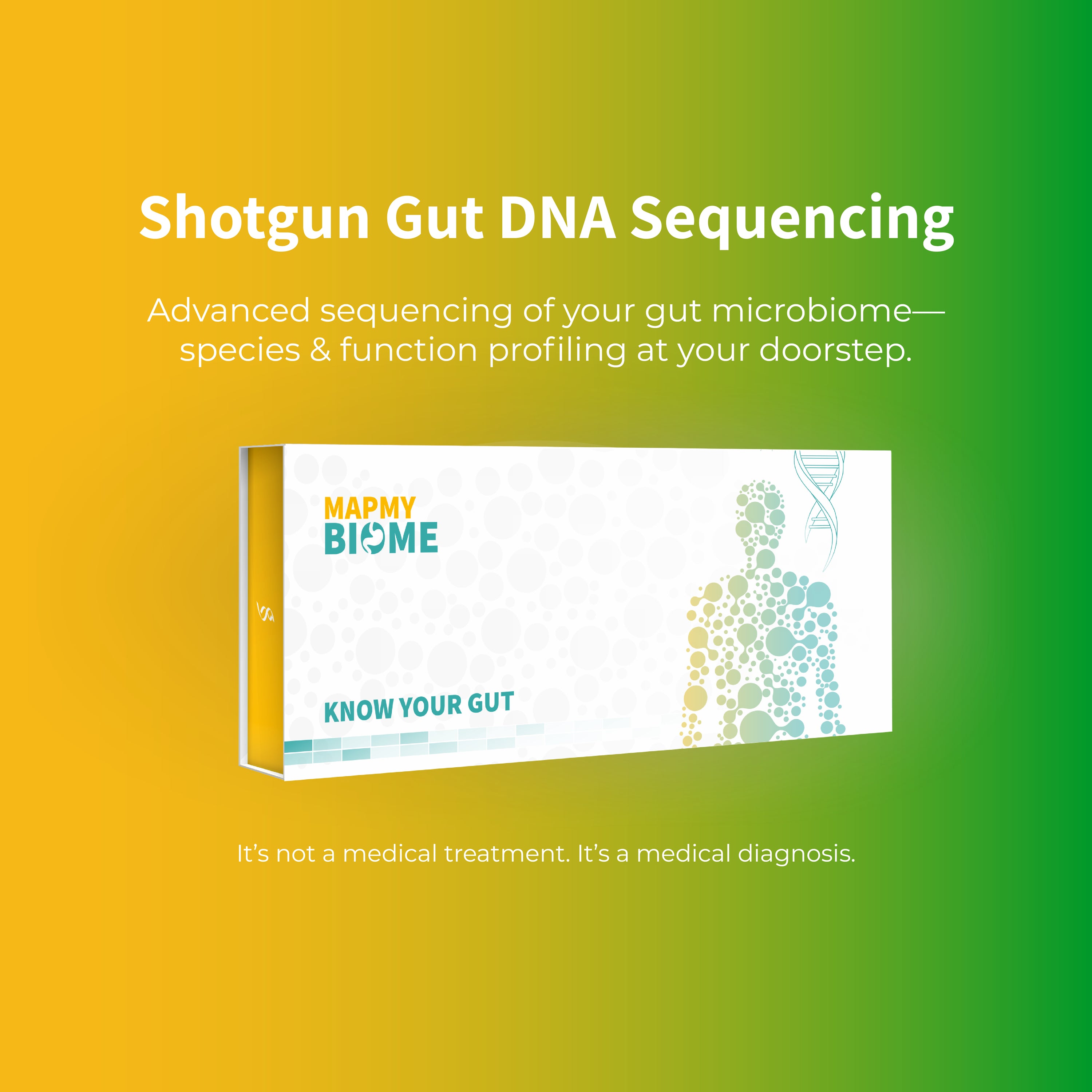 Unlocking the Gut Microbiome: Essential for Health and Well-Being ...