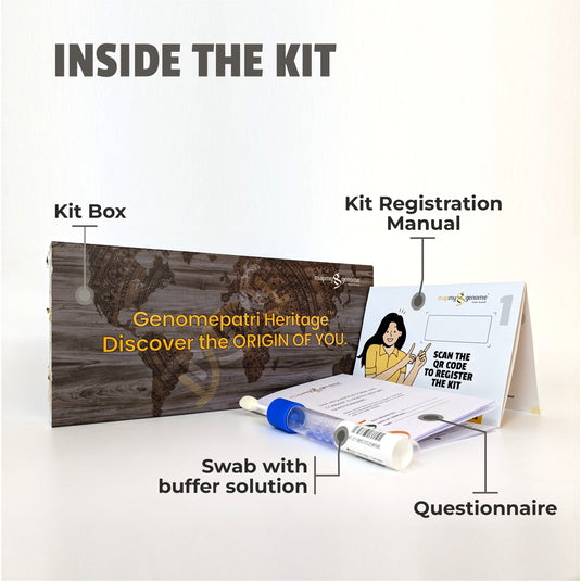 Discover Your Ancestral Roots | Build Your Family Tree and Genealogy ...