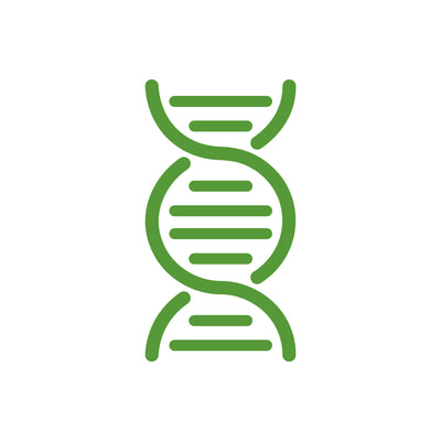 MapmyGenome | Decode Your DNA for Longevity & Wellness – Mapmygenome