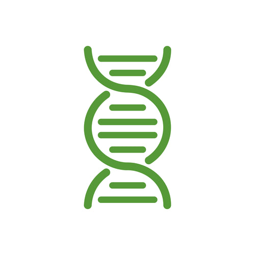 MapmyGenome | Decode Your DNA for Longevity & Wellness – Mapmygenome