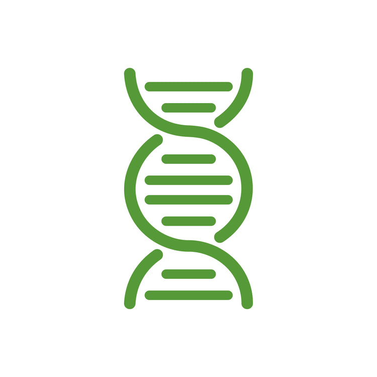 MapmyGenome | Decode Your DNA for Longevity & Wellness – Mapmygenome