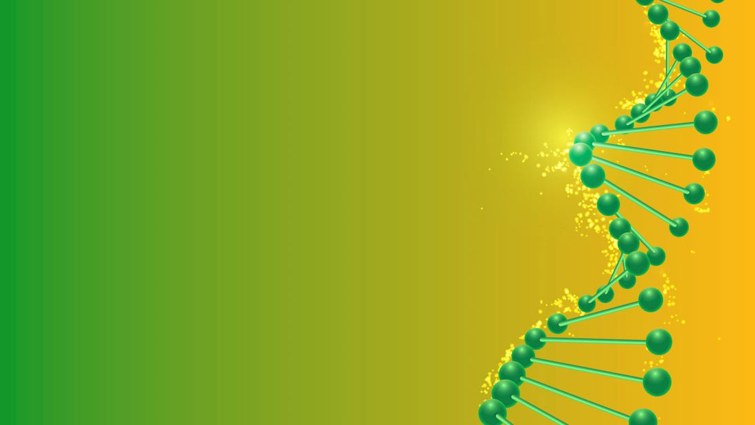 About Us – Mapmygenome